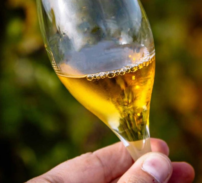 Arnaud Lambert | “One of the Loire’s big talents” – Le blog iDealwine