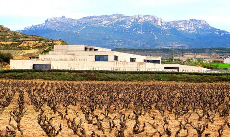 Bodega Contador: A dazzling destiny – Le blog iDealwine