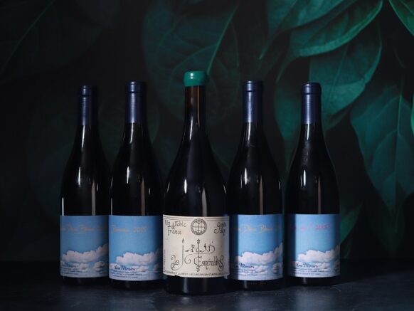 5 things to know about the Vin de France classification – Le blog iDealwine